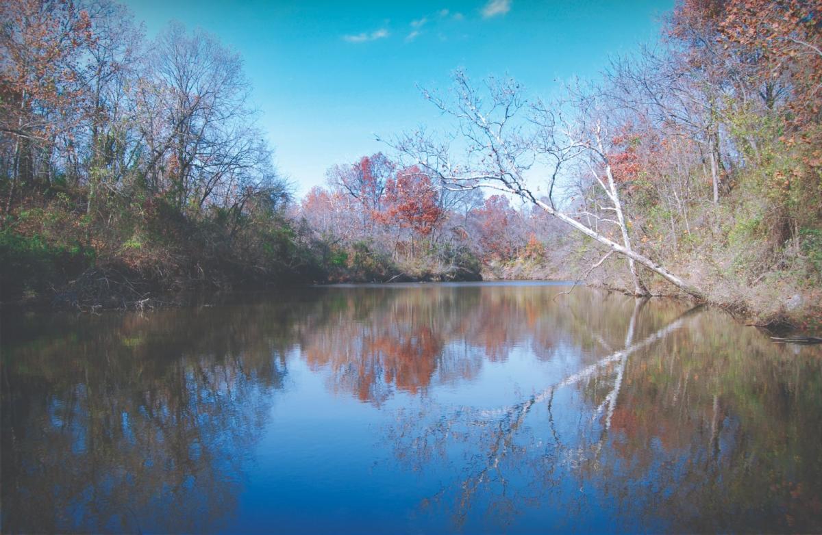 Wilderness Park - Frontenac KS, 66763