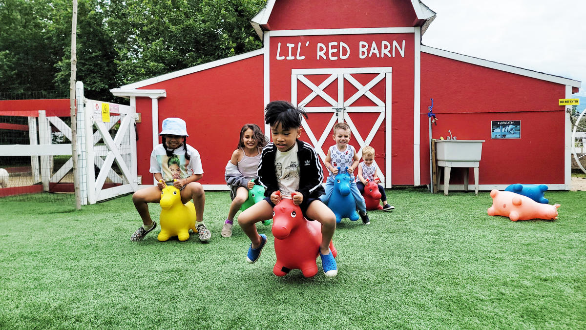 Don-O-Ray Farm Adventure