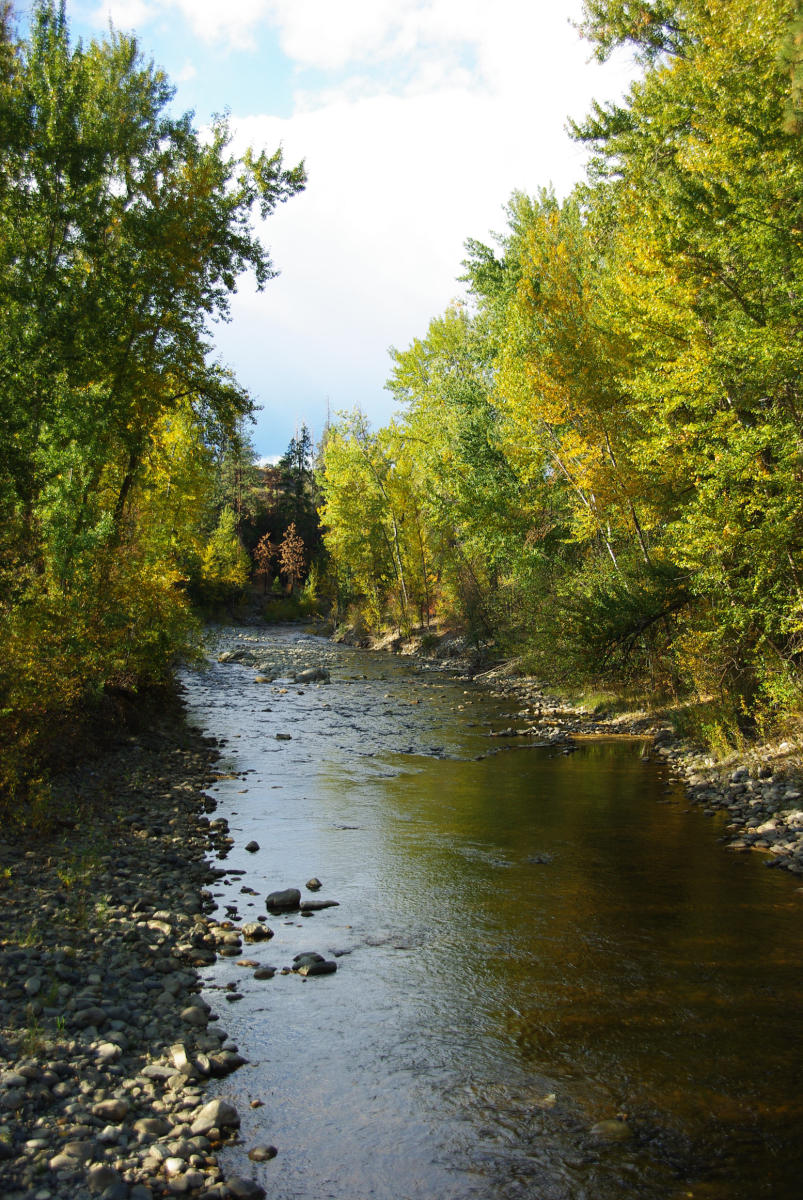 Mission Creek Greenway Regional Park