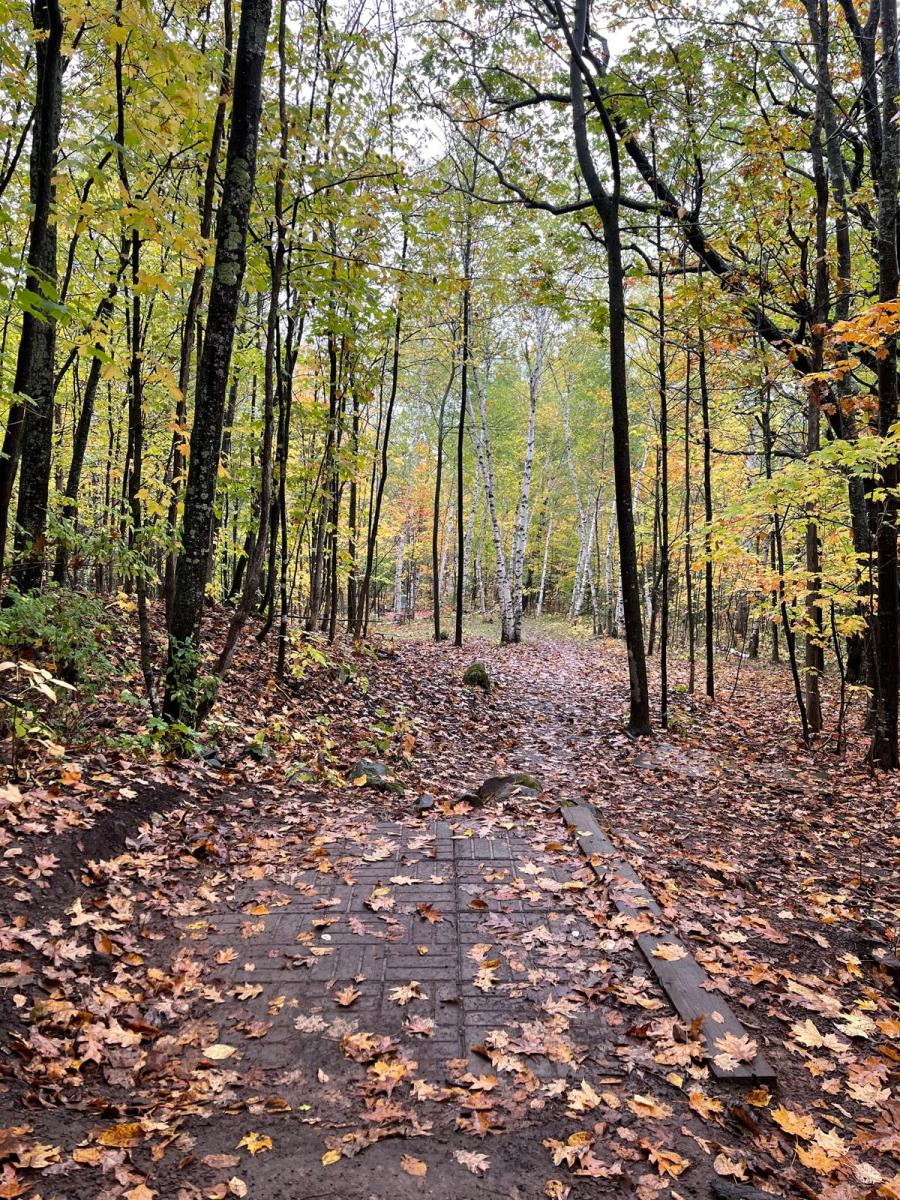 Michigan Tech Disc Golf Course