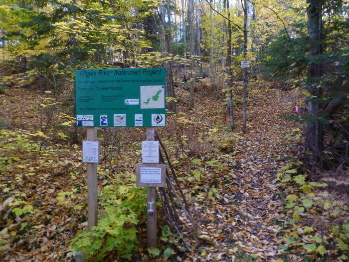 Pilgrim Community Forest