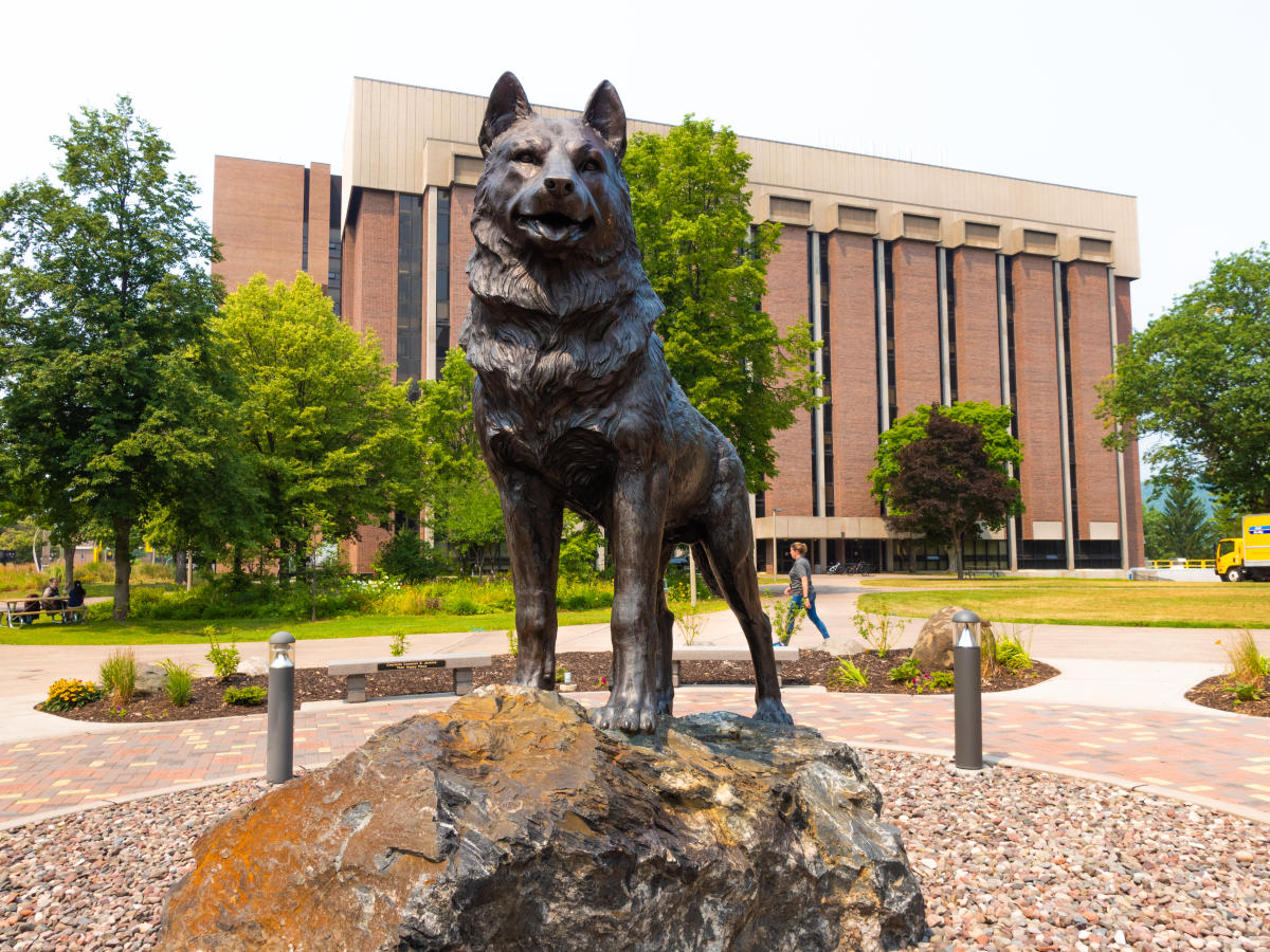 Michigan Technological University