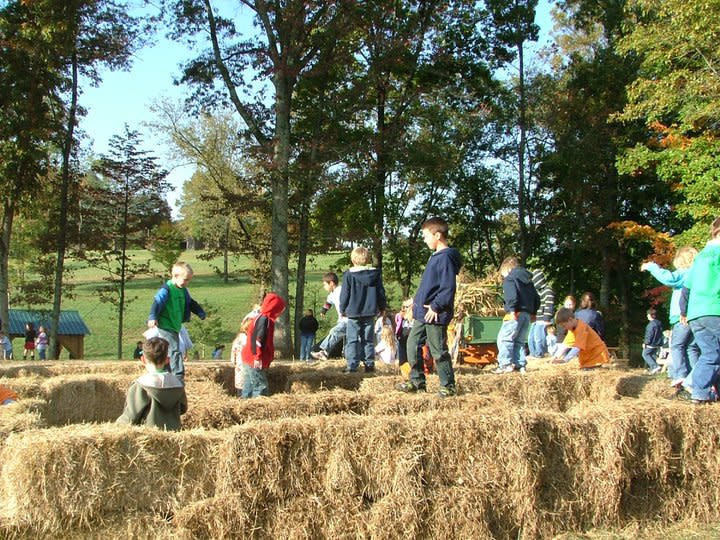 Deep Well Farm Corn Maze | Lenoir City, TN