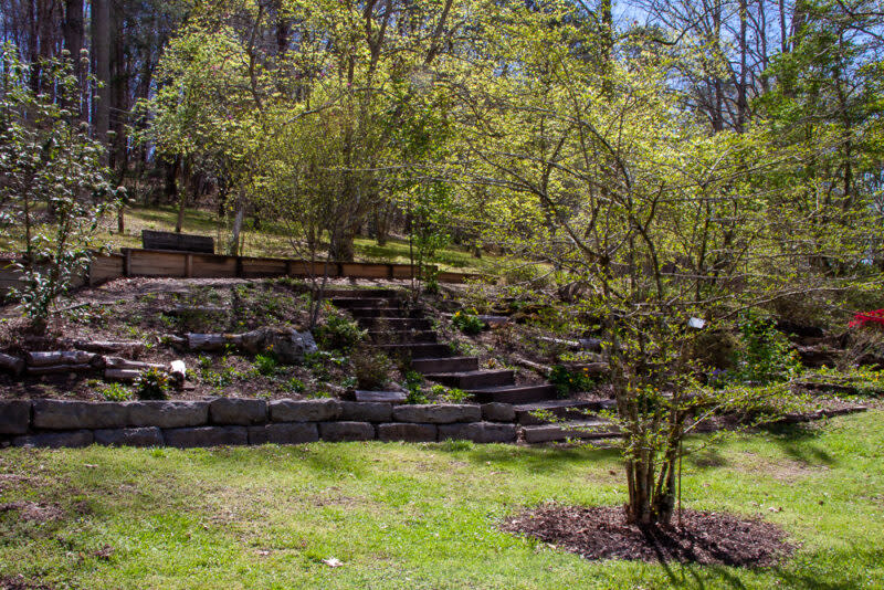 UT Arboretum Trails | Oak Ridge, TN