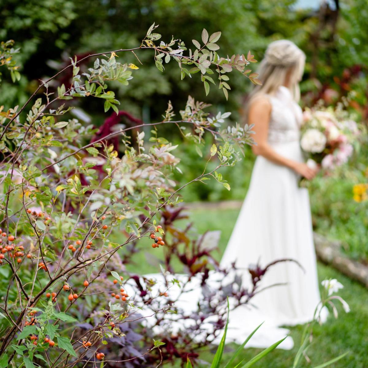 Danielle Coons Photography | Scranton, PA