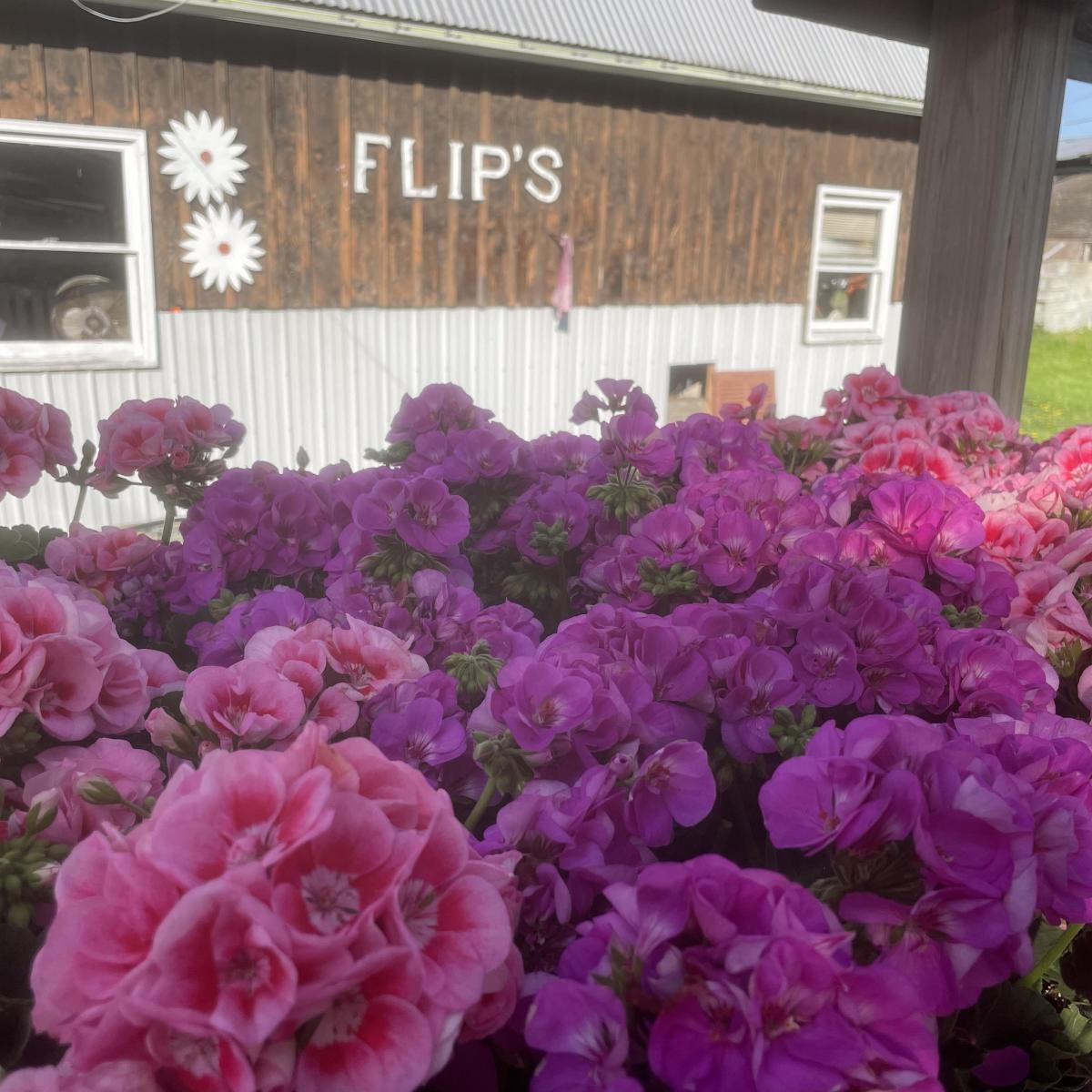 Flips Flower & Farm Market | Madison Twp, PA