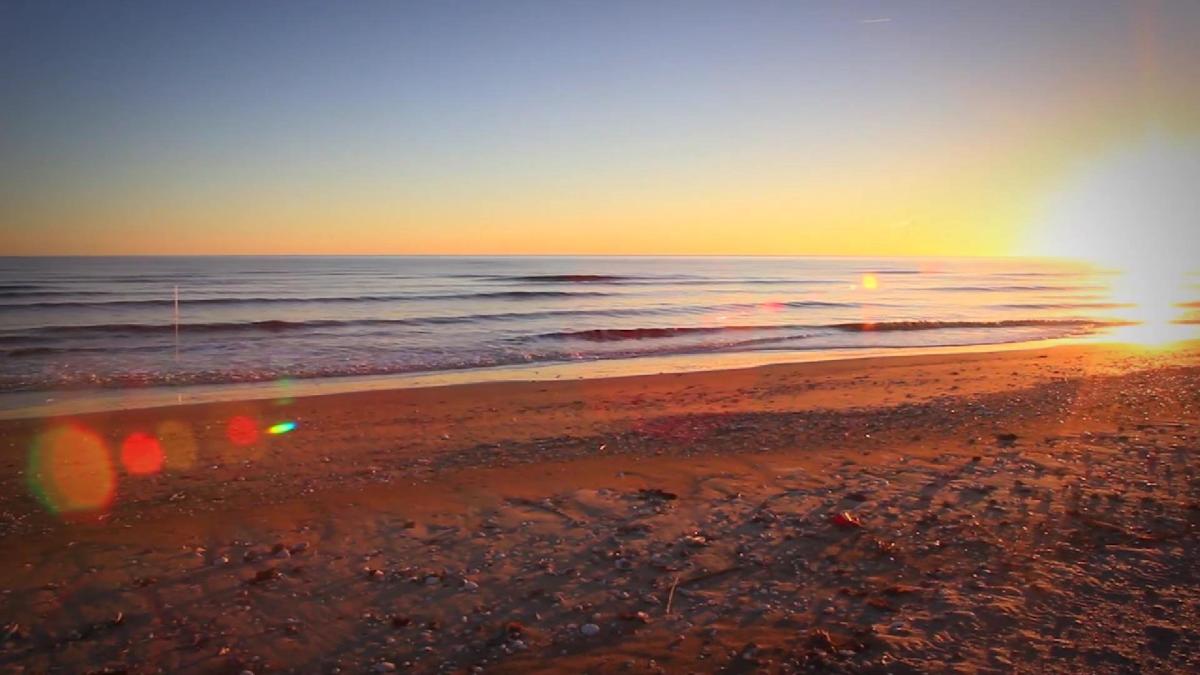 Mae's Beach | Cameron, LA