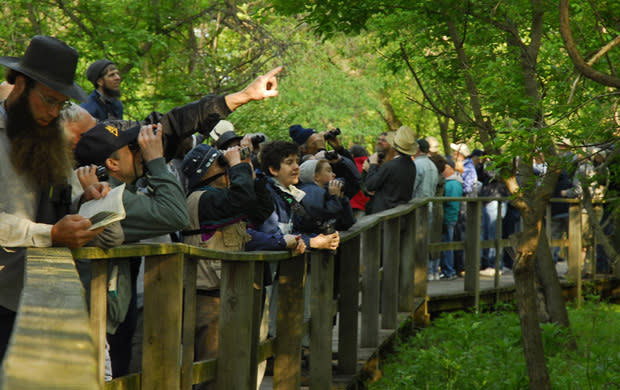 Black Swamp Bird Observatory