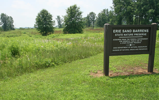 Erie Sand Barrens State Nature Preserve | Shores & Islands Ohio