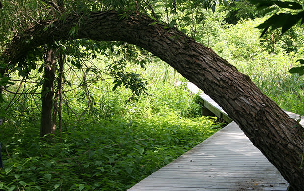 North Pond State Nature Preserve