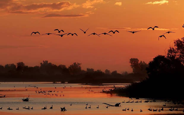 Magee Marsh Wildlife Beach & Crane Creek Estuary Trail