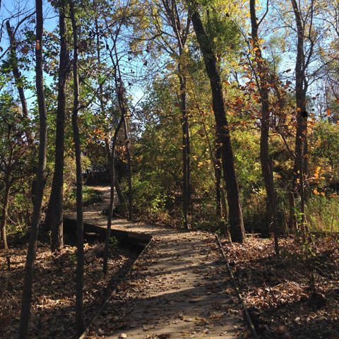 Sheldon Marsh State Nature Preserve Beach