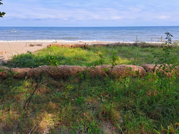 Old Woman Creek Barrier Beach