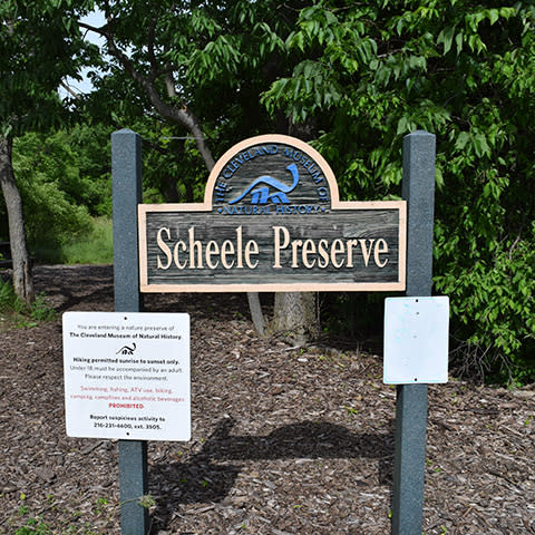 Scheele Preserve | Shores & Islands Ohio
