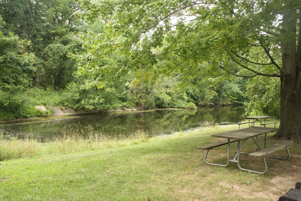 Vermilion River Reservation, Mill Hollow, and Bacon Woods