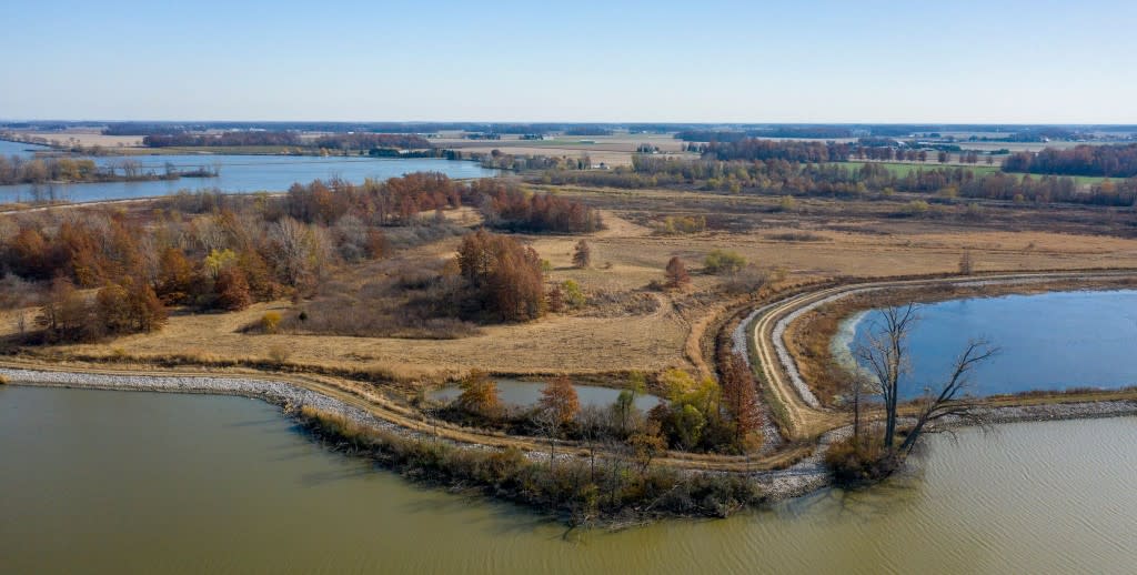 Toussaint Creek Wildlife Area