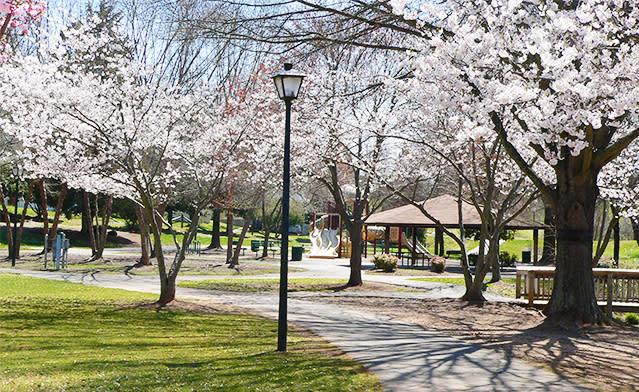 Roosevelt Wilson Park