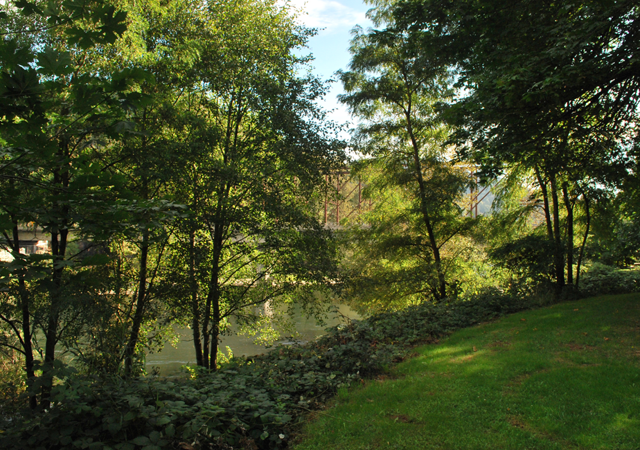 Crilly Nature Trail