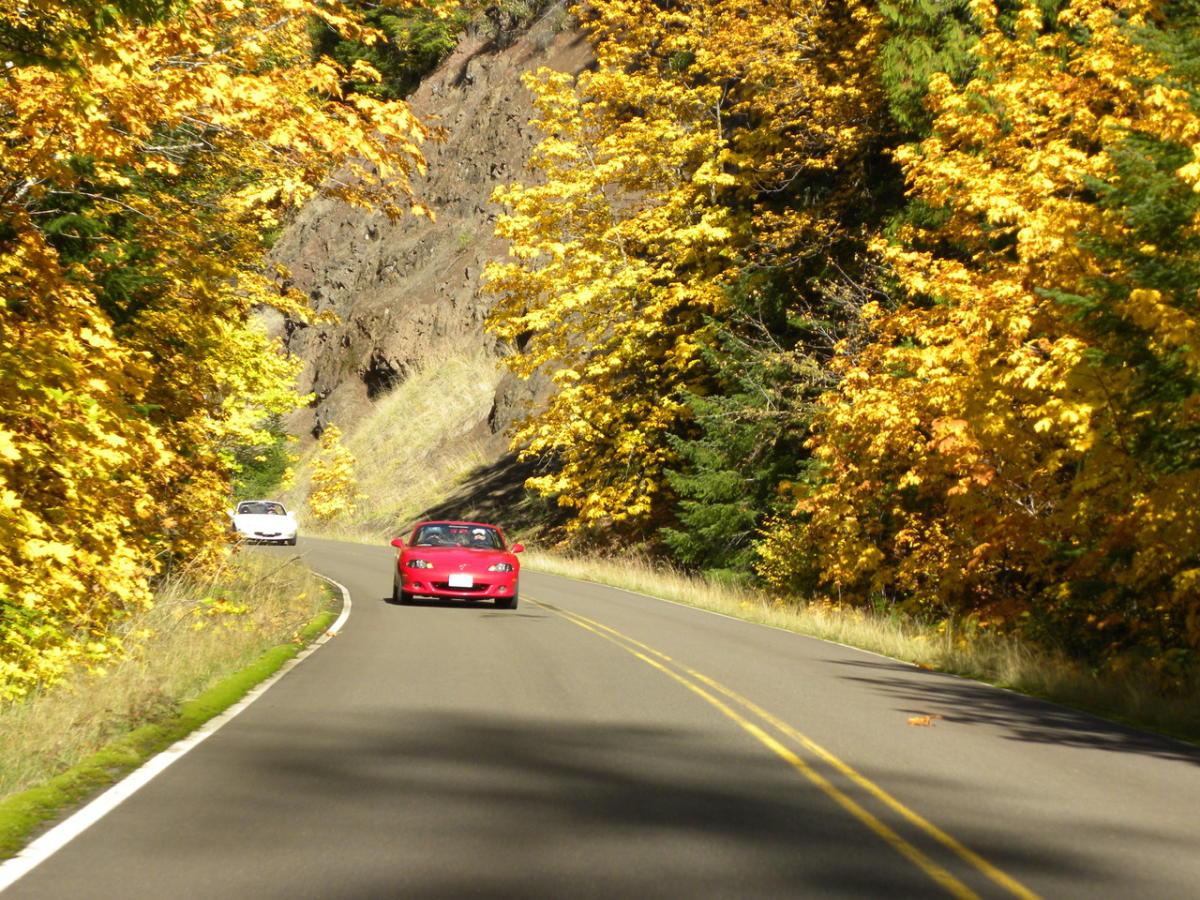 Aufderheide Drive (Forest Service Rd 19)