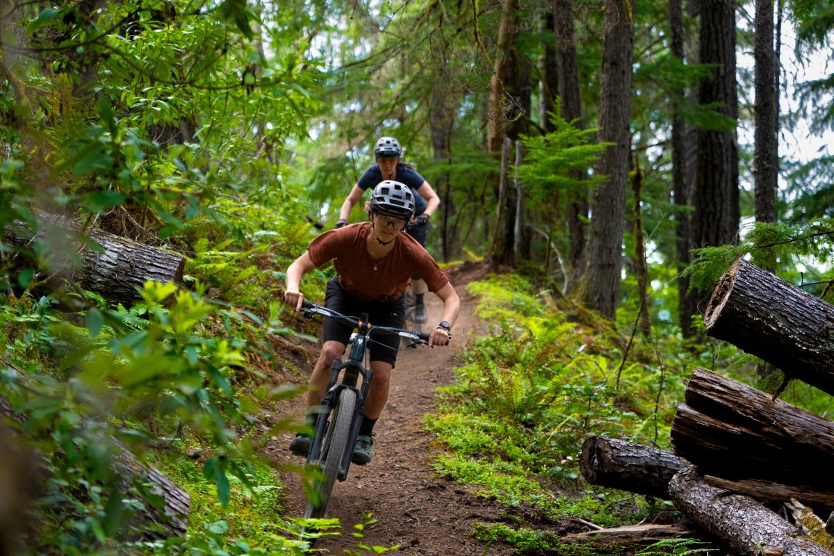 Cog Wild Bicycle Tours - Outdoor Adventures - Cycling Groups, Guides ...