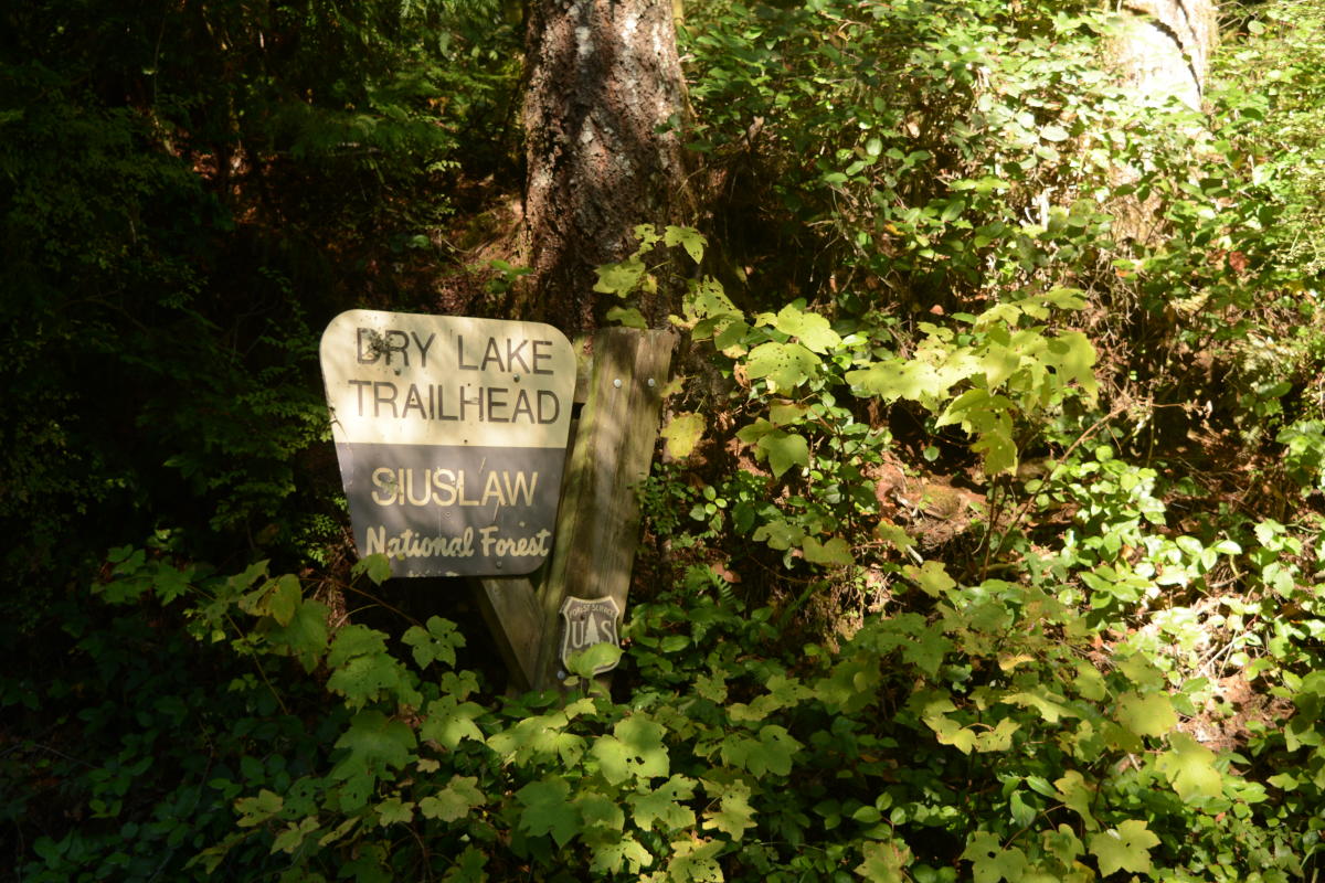 Siuslaw National Forest