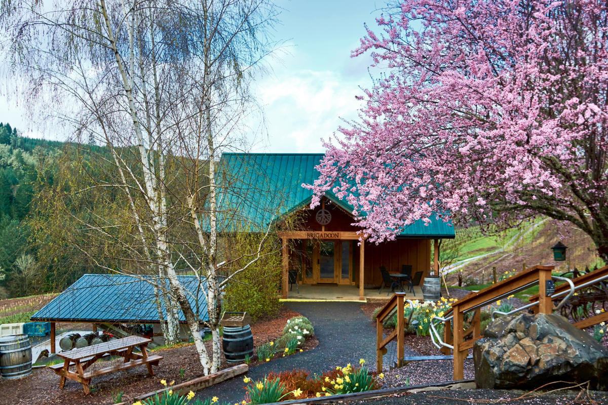 Brigadoon Wine Company - Restaurants & Nightlife - Wine (7960) | Eugene ...
