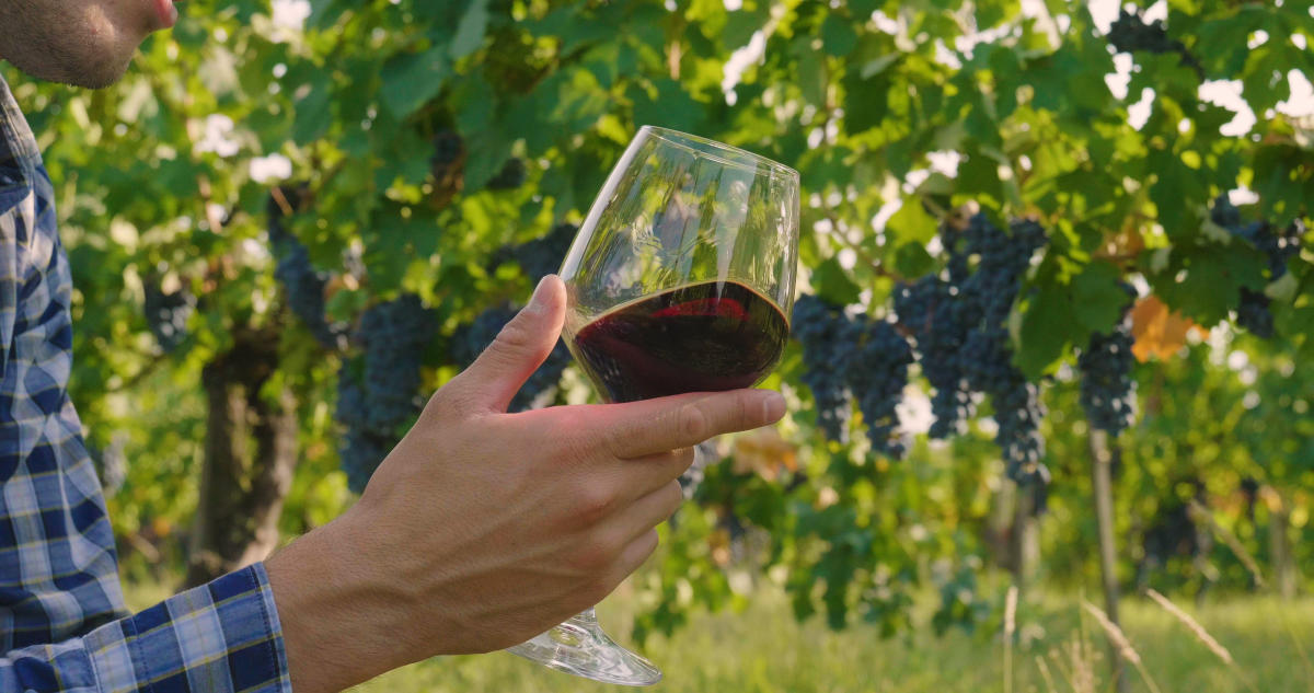 Inner Limits Duo at Bennett Vineyards