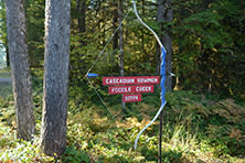 Cascadian Bowmen Archery Club