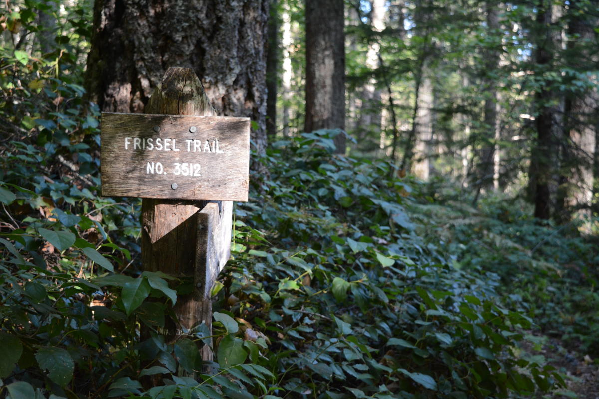 Frissel Crossing Campground