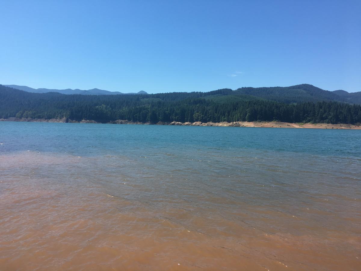 Lookout Point Reservoir