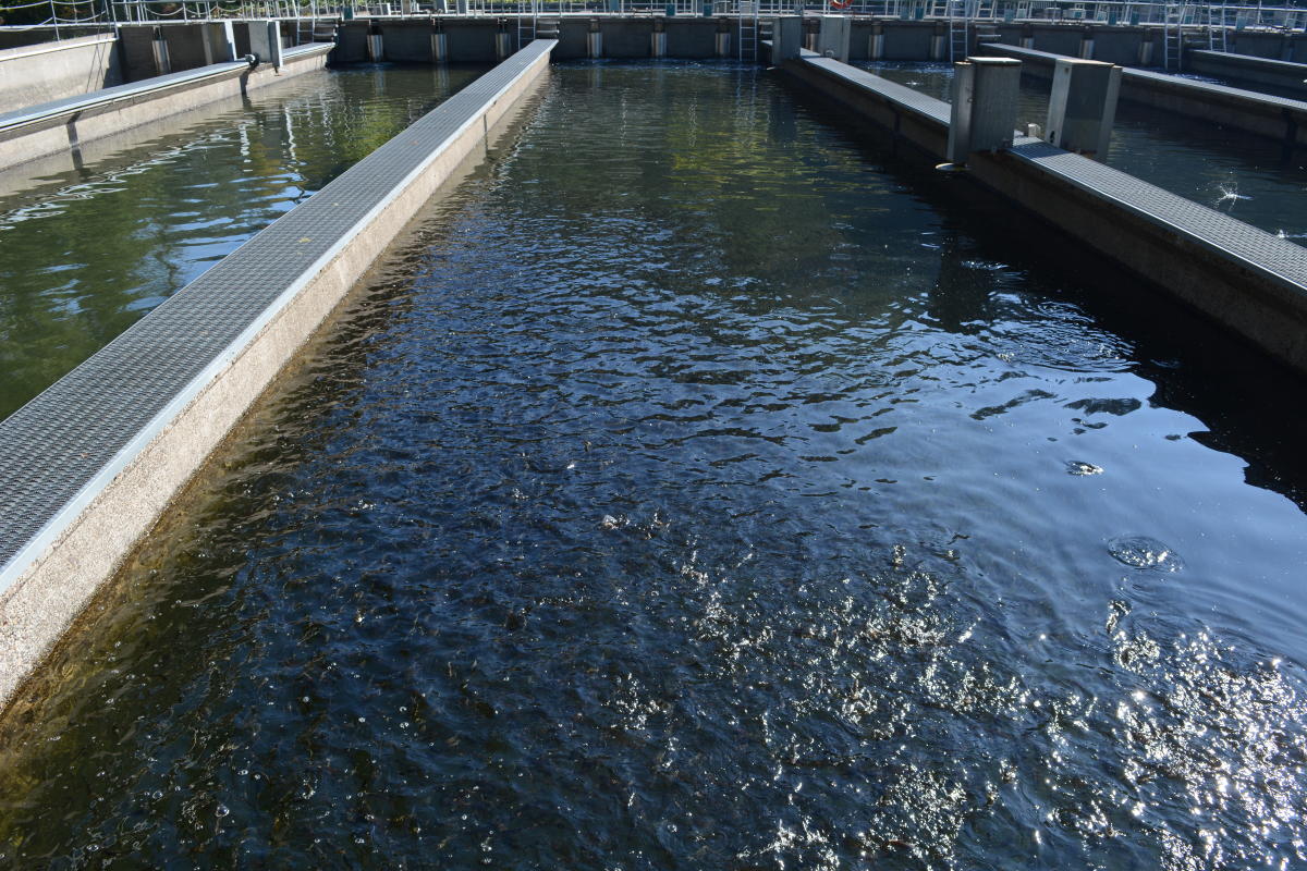 Old McKenzie Fish Hatchery - Natural Wonders - Parks & Public Lands ...