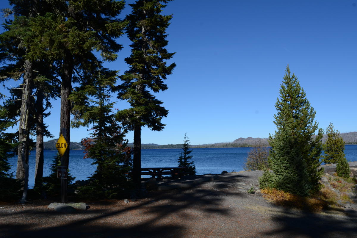 Shoreline Trail - Outdoor Adventures - Hiking (4886) | Eugene, Cascades ...