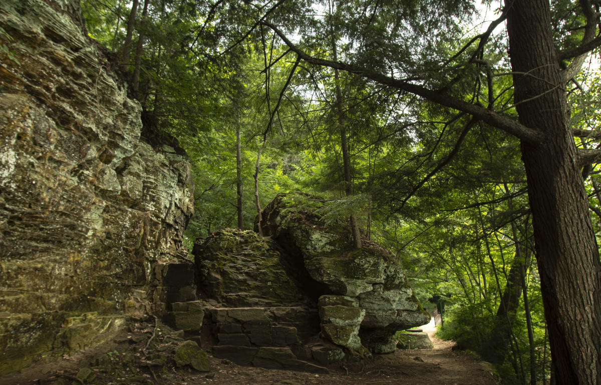 The Ledges in Grand Ledge and Fitzgerald Park
