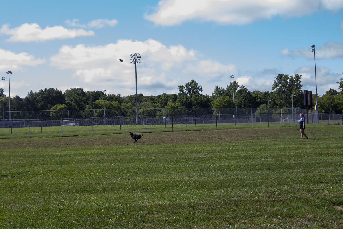 Northern Tail Dog Park