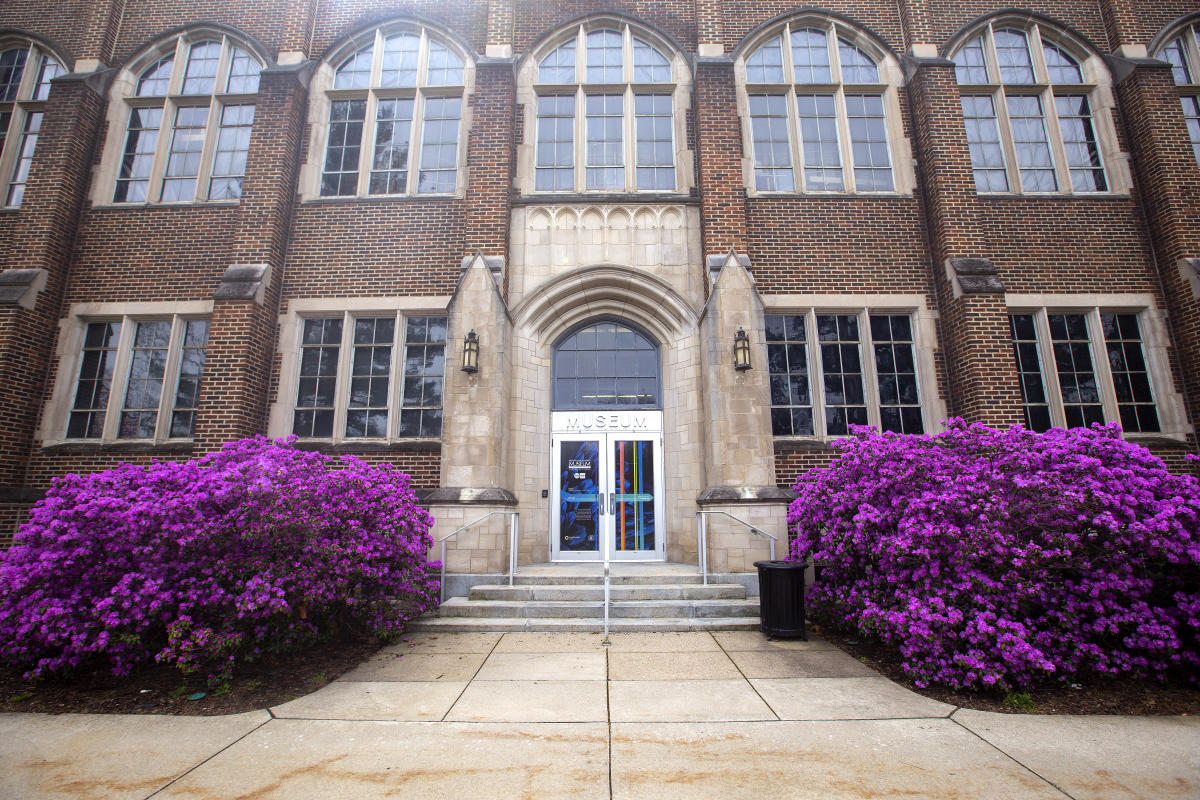 MSU Museum