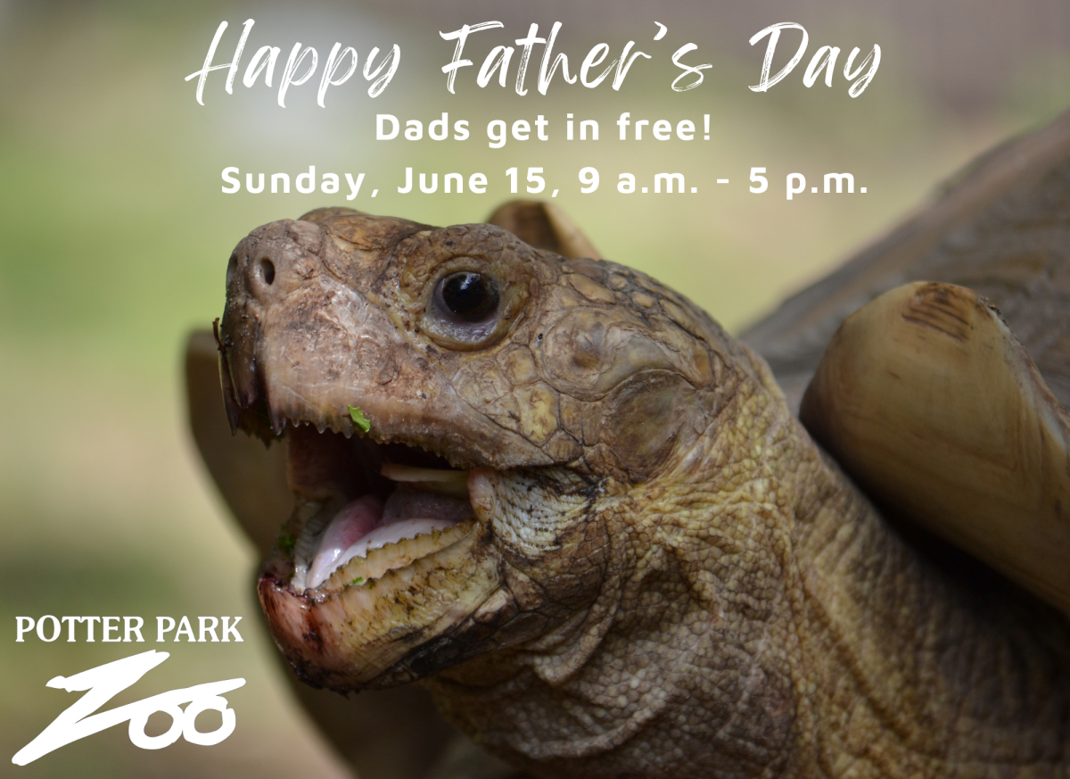 Happy Father's Day! Father's Admission is Free