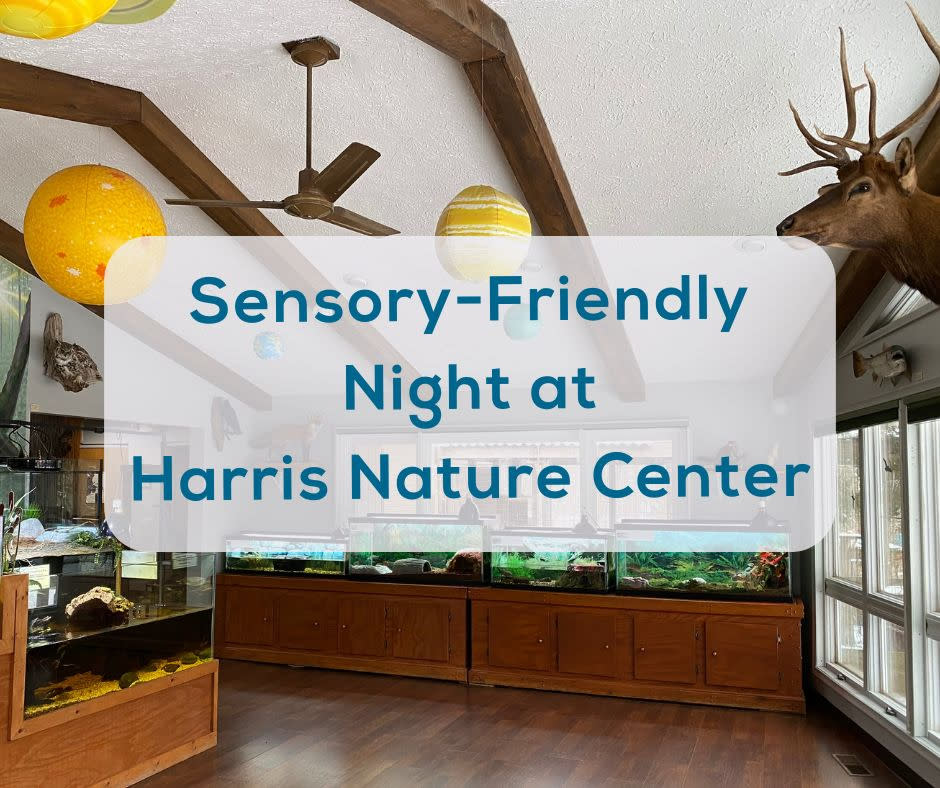 Sensory-Friendly Night