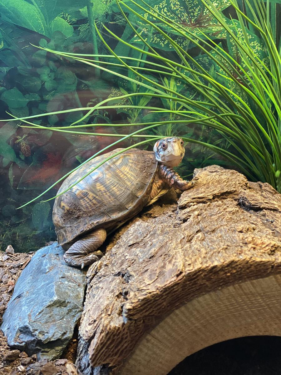Harris Nature Center