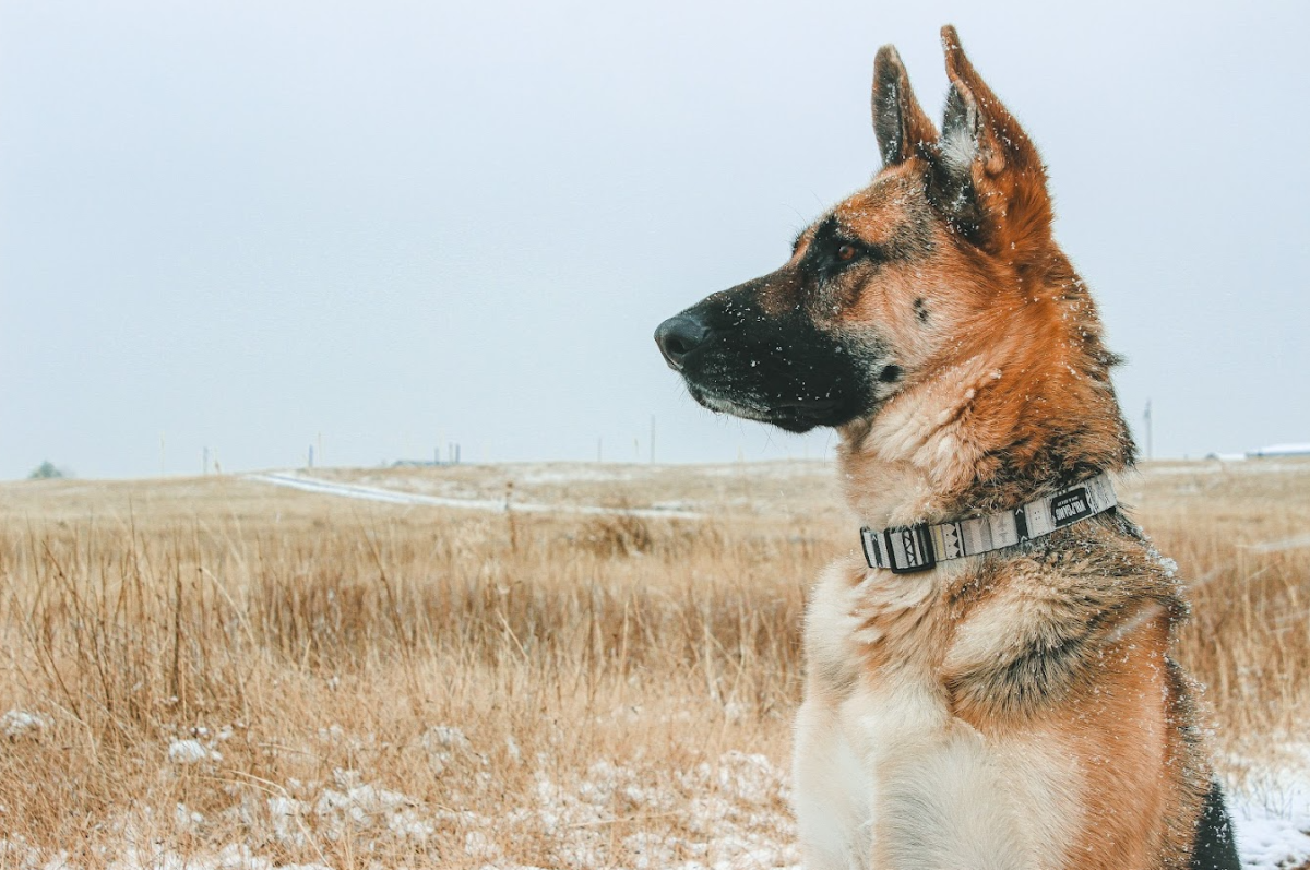 Event Resources Photography/Videography Immersive Photography | Visit ...