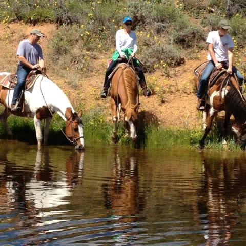Attractions Horseback Riding Two Bars Seven Ranch | Visit Laramie