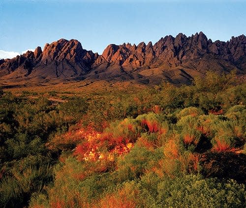 Organ Mountains Desert Peaks National Monument