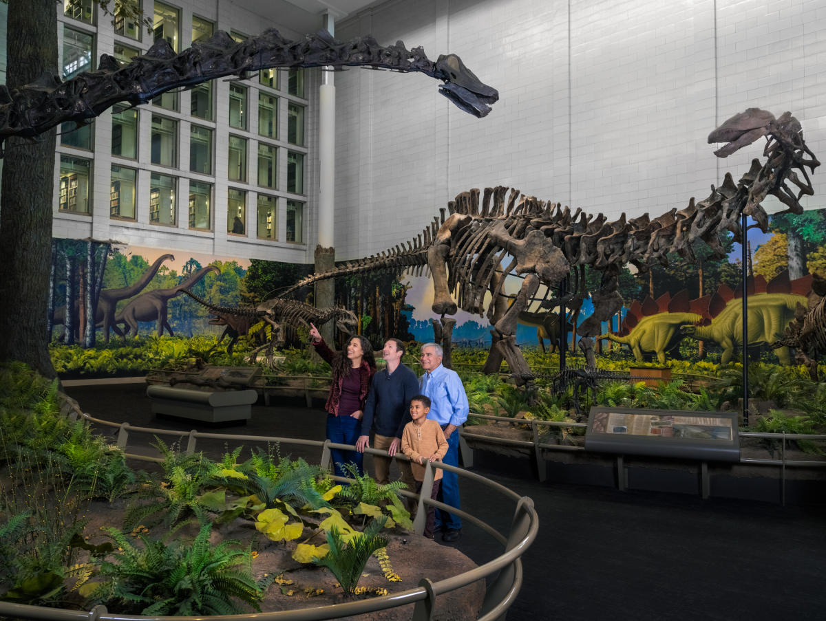 Carnegie Museums of Art and Natural History | Pittsburgh, PA