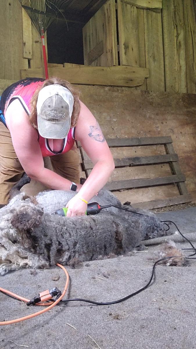 4th Annual Fayette County Fiber Festival | Dunbar, PA