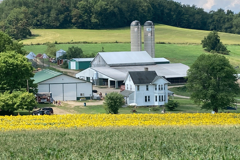 Maple Bottom Farm | Dawson, PA