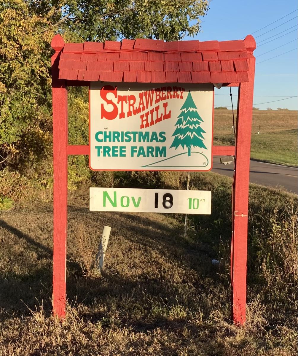 Strawberry Hill Christmas Tree Farm