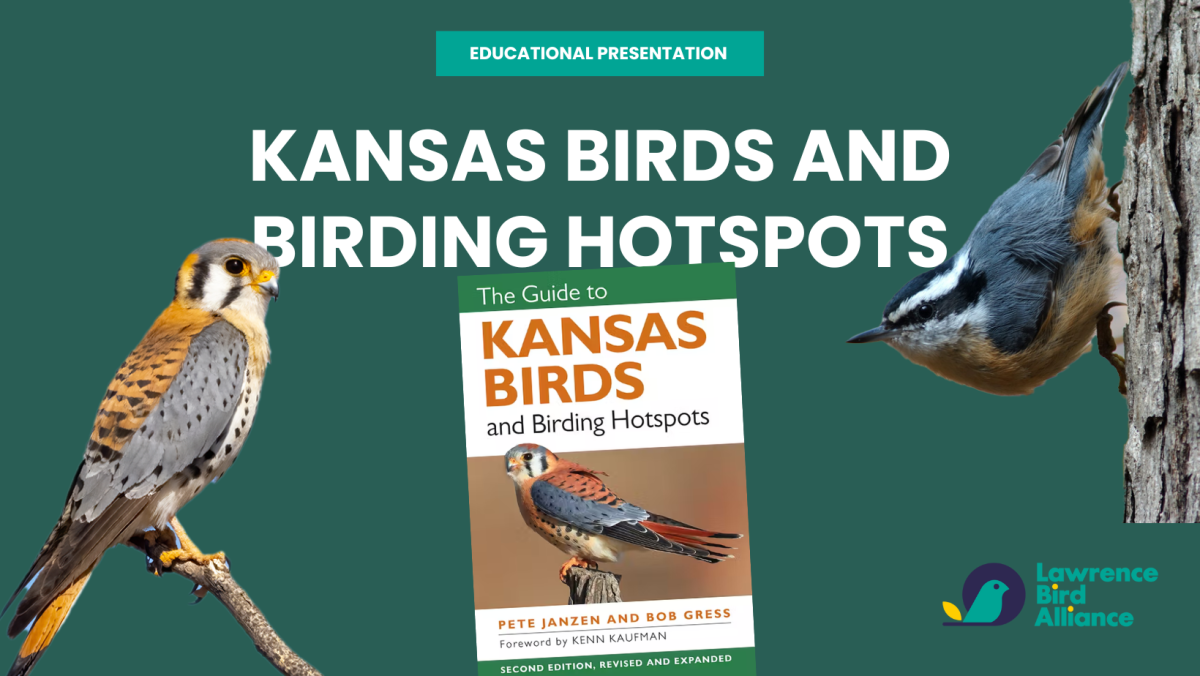 Kansas Birds and Birding Hotspots