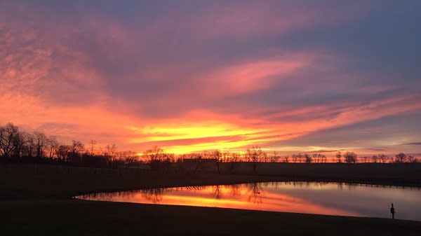 Prodigy Vineyards and Winery - Lexington, KY - VisitLex