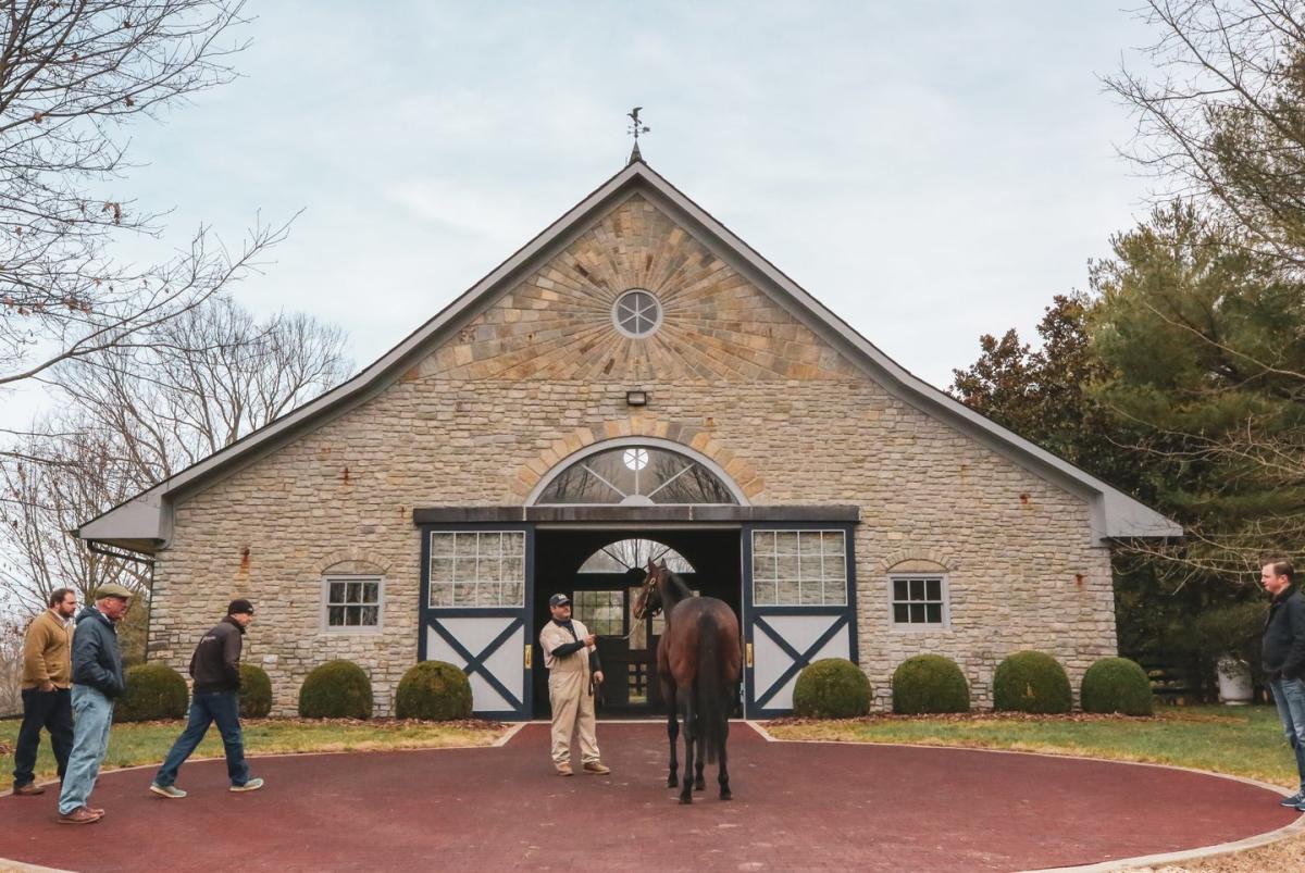 Coolmore at Ashford Stud - Lexington, KY - VisitLex