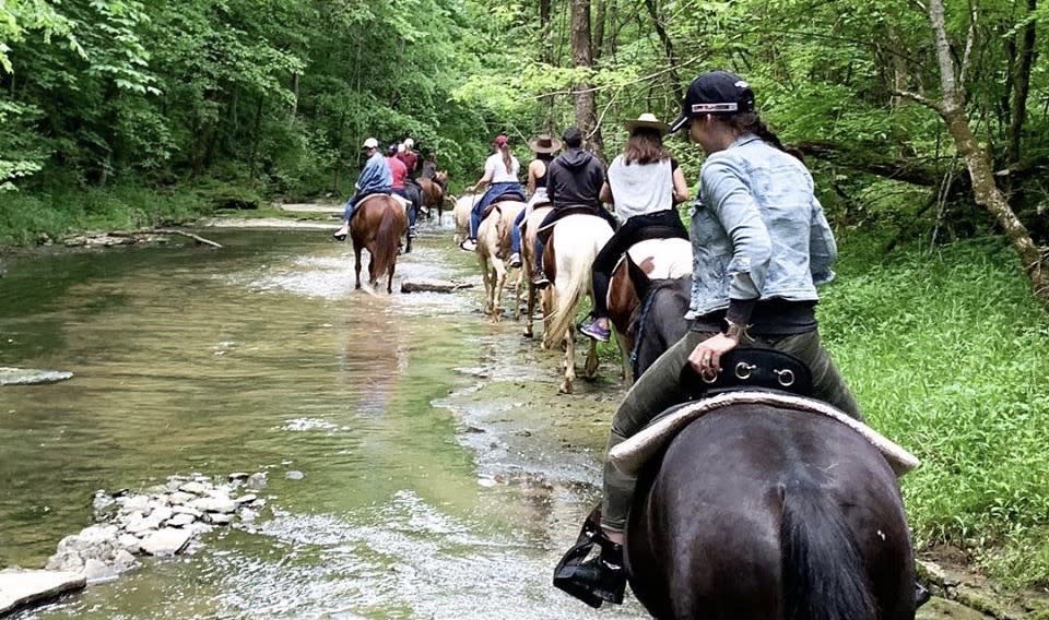Stepping Stone Ranch at Deer Run Stable - Lexington, KY - VisitLex