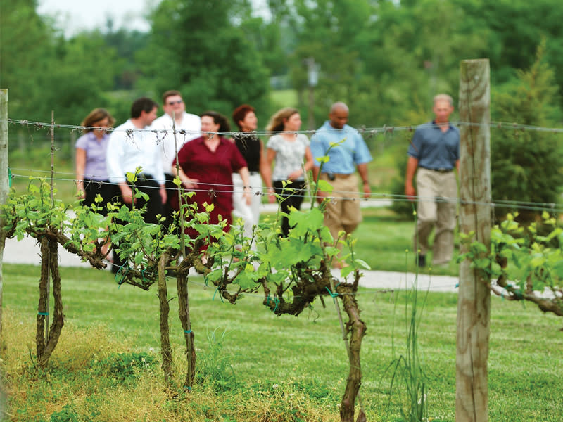 Equus Run Vineyards - Lexington, KY - VisitLex